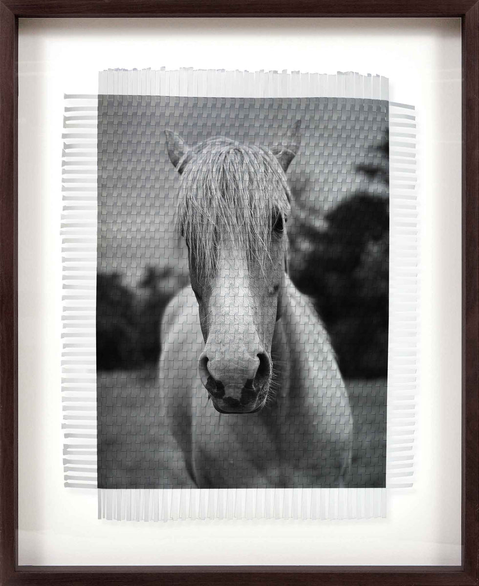 BLONDIE - HAND WOVEN PHOTOGRAPH – The Studio at Fernando Bengoechea