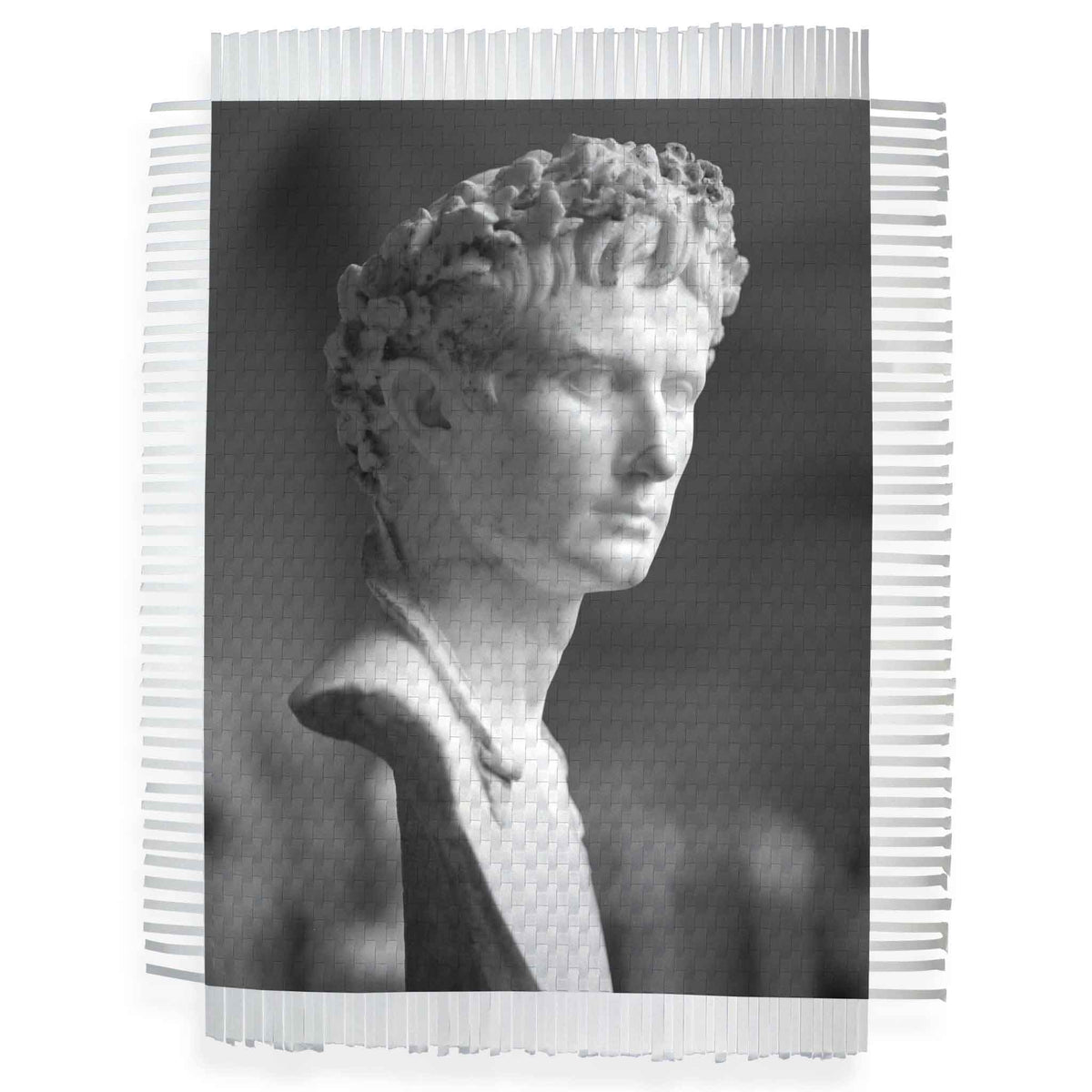 BUST # 12 - AUGUSTUS - HAND WOVEN PHOTOGRAPH – The Studio at Fernando ...