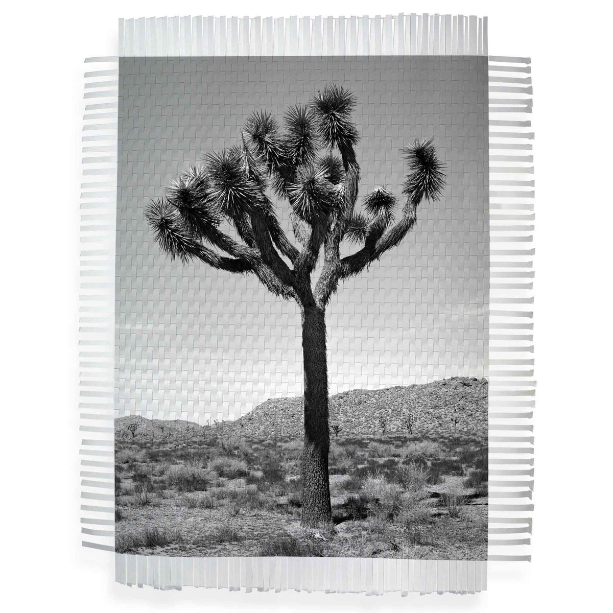 KARMA TREE # 3 - HAND WOVEN PHOTOGRAPH – The Studio at Fernando Bengoechea