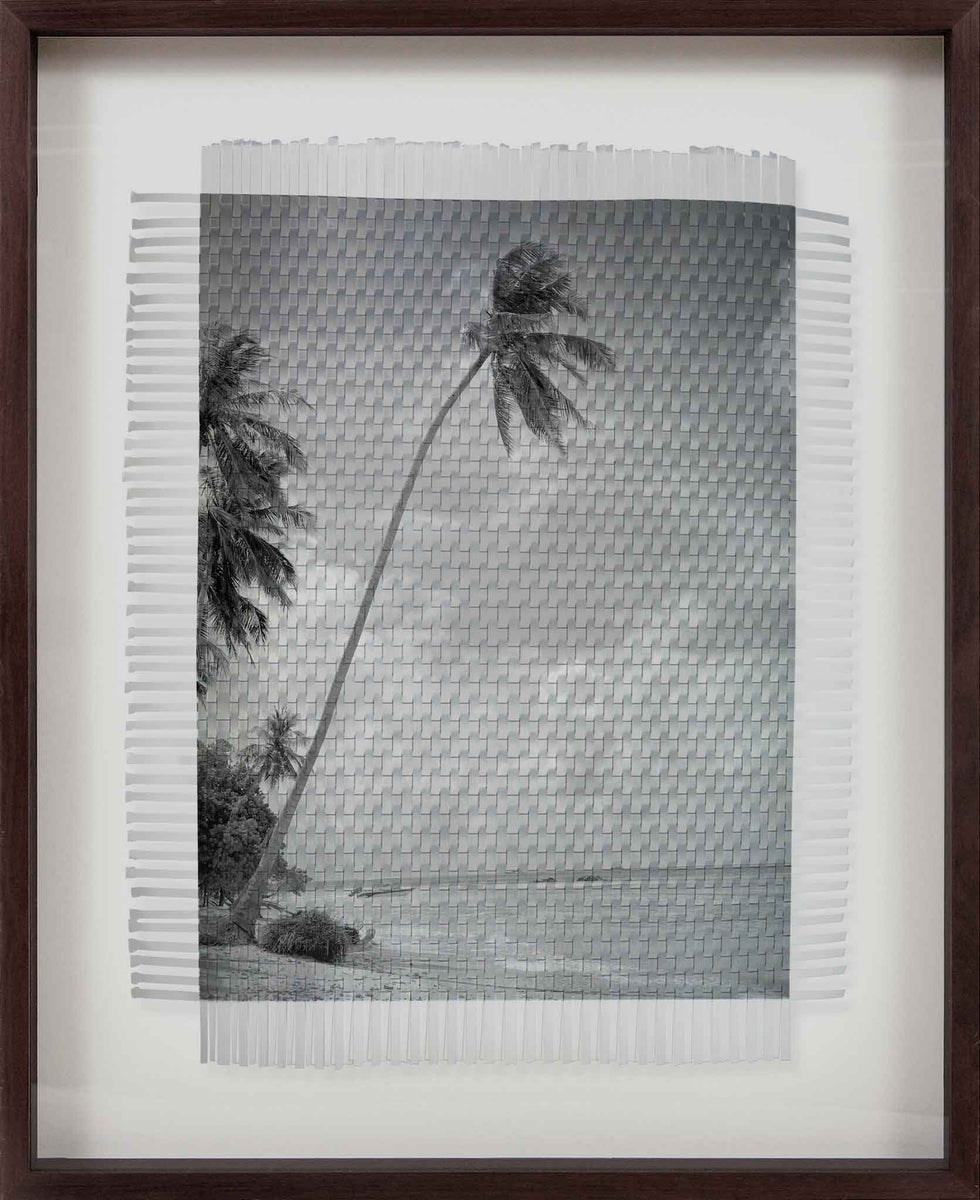 PALMS # 2 - HAND WOVEN PHOTOGRAPH – The Studio at Fernando Bengoechea