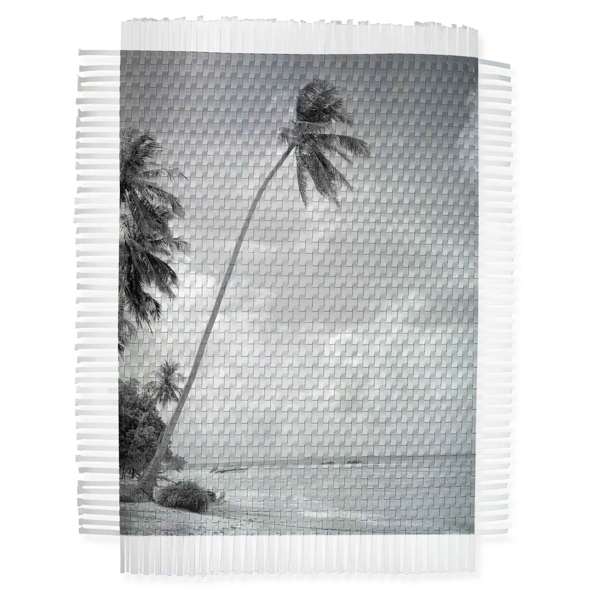 PALMS # 2 - HAND WOVEN PHOTOGRAPH – The Studio at Fernando Bengoechea
