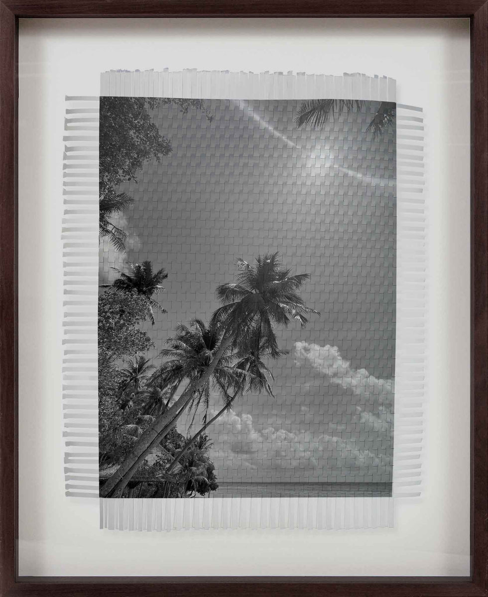 PALMS # 4 - HAND WOVEN PHOTOGRAPH – The Studio at Fernando Bengoechea