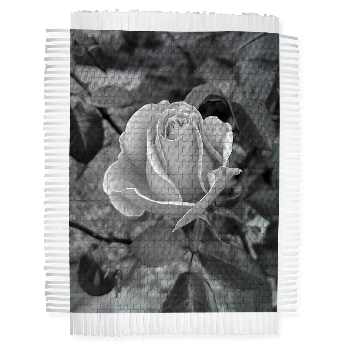ROSA - HAND WOVEN PHOTOGRAPH – The Studio at Fernando Bengoechea