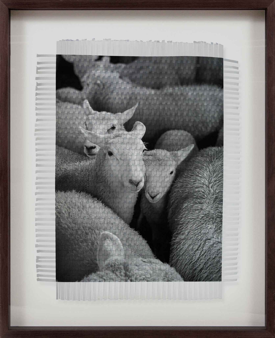 ANIMALS COLLECTION – The Studio at Fernando Bengoechea