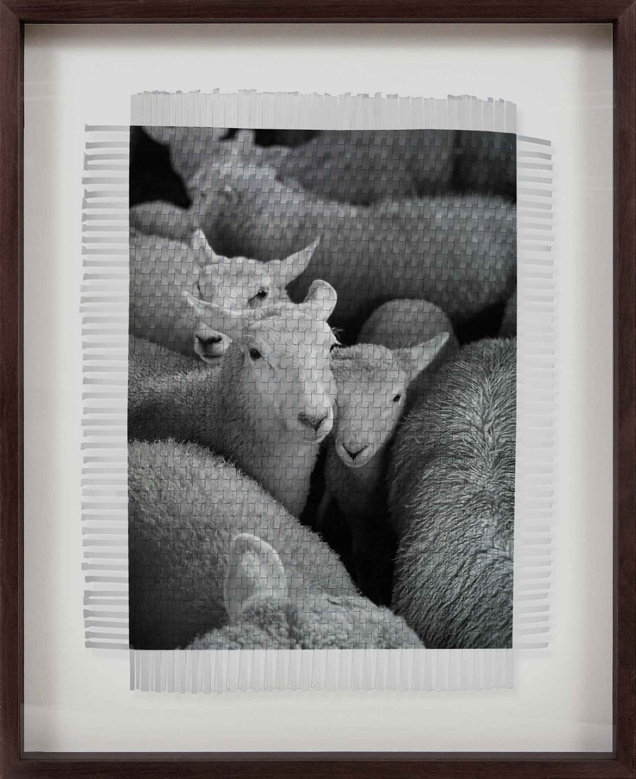 ANIMALS COLLECTION – The Studio at Fernando Bengoechea
