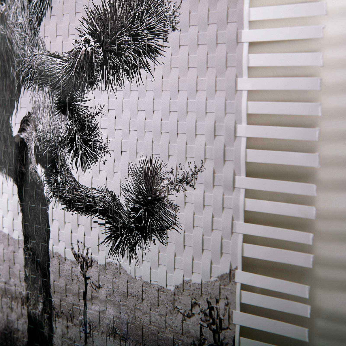 KARMA TREE # 1 - HAND WOVEN PHOTOGRAPH – The Studio at Fernando Bengoechea